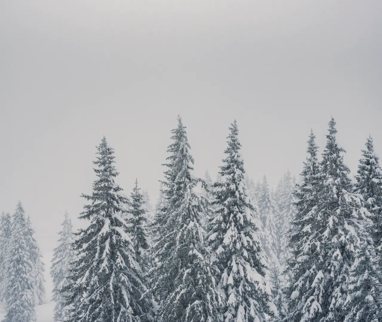 How to Prepare for a Winter Storm: Quick Emergency Checklist